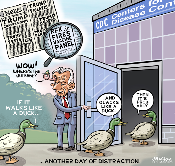 The Latest Political Cartoons: RFK Jr. Edition | Light Wave