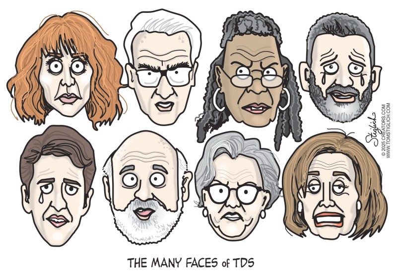 Award-Winning Editorial Cartoonist Tom Stiglich's Latest Work | Light Wave