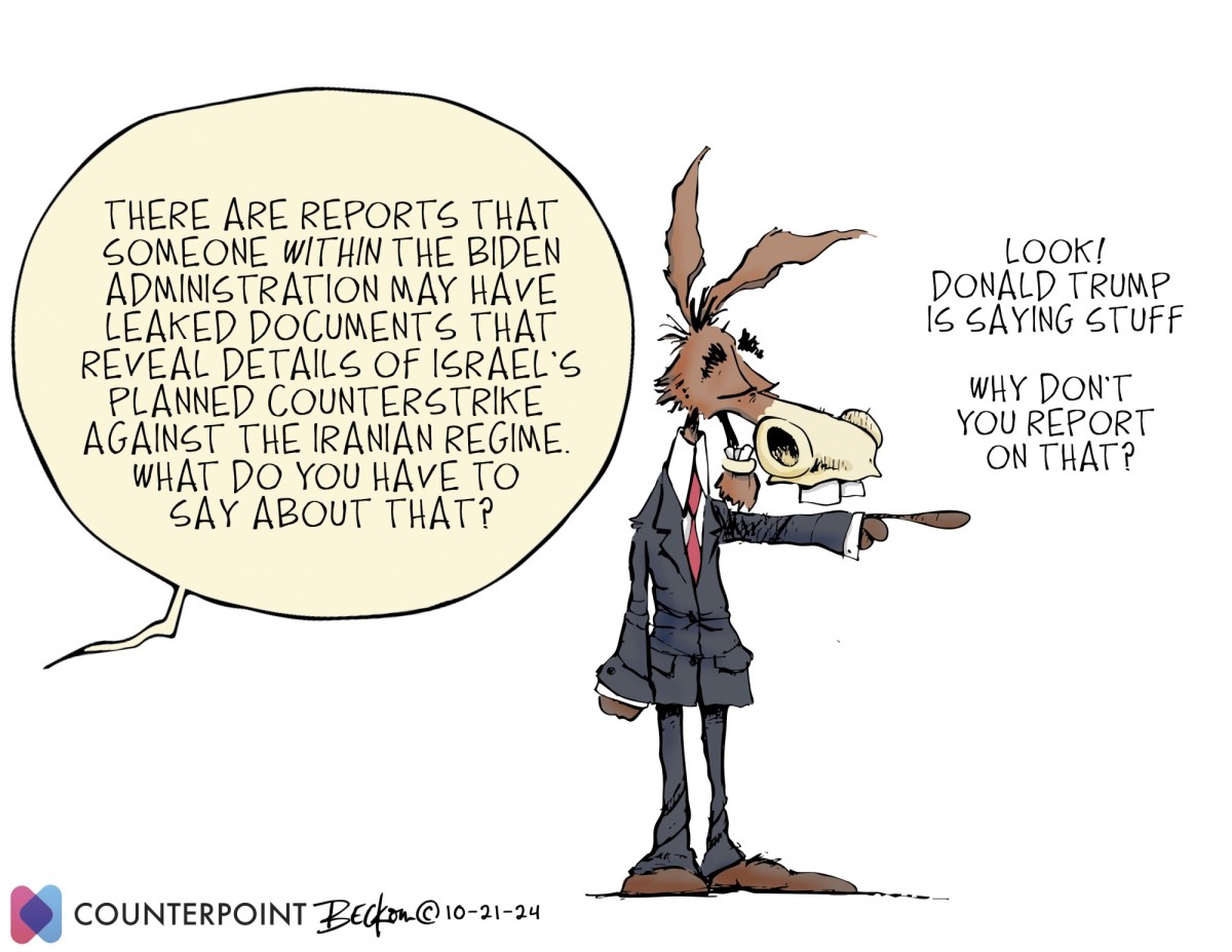 Cartoons: The Latest Editorial Cartoons From CounterPoint Media | Light ...
