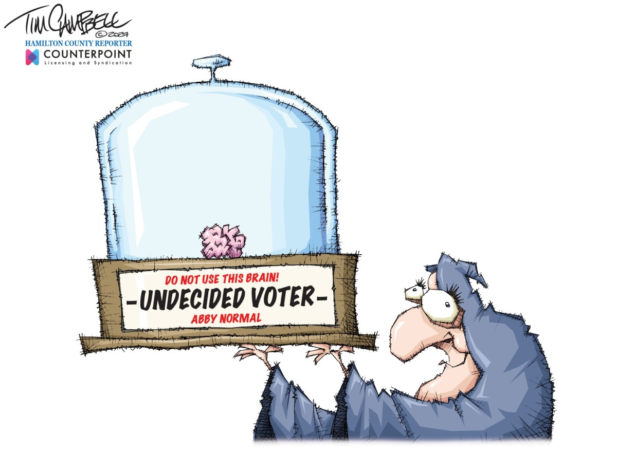Cartoons: The Latest Editorial Cartoons From CounterPoint Media | Light ...