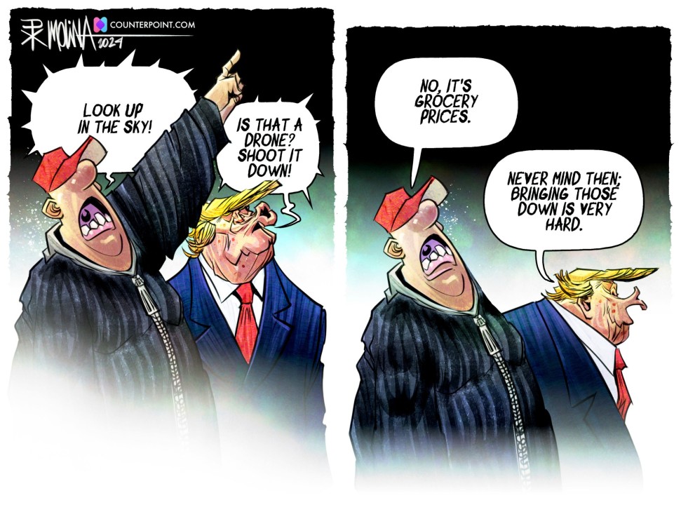 Cartoons: The Latest Editorial Cartoons From CounterPoint Media | Light ...