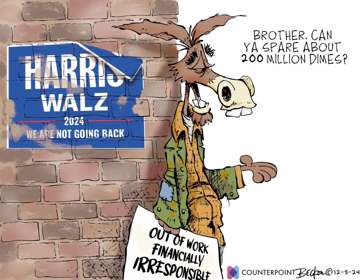 Cartoons: The Latest Editorial Cartoons From CounterPoint Media | Light ...