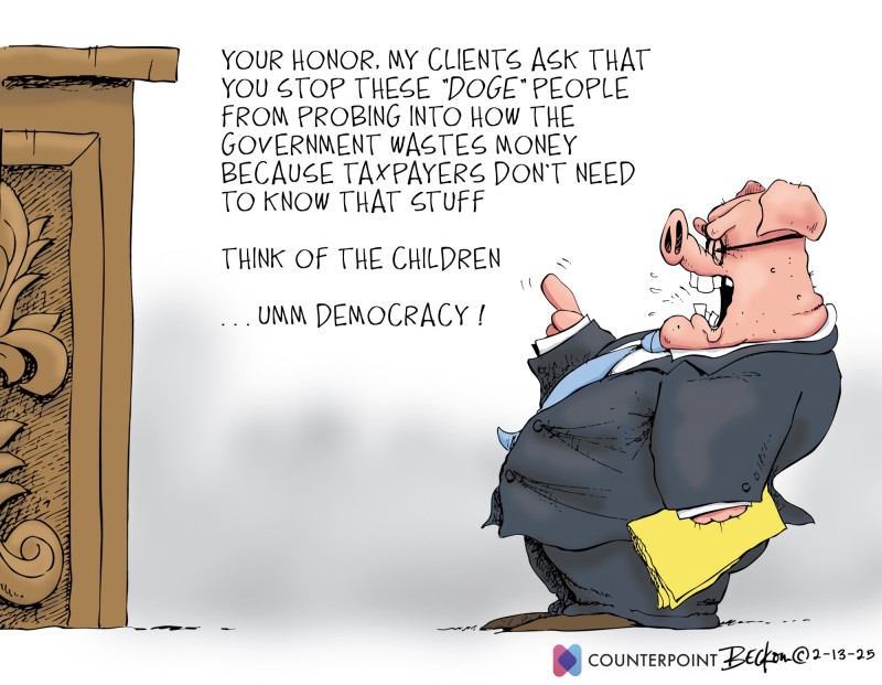 Cartoons: The Latest Editorial Cartoons From CounterPoint Media | Light ...