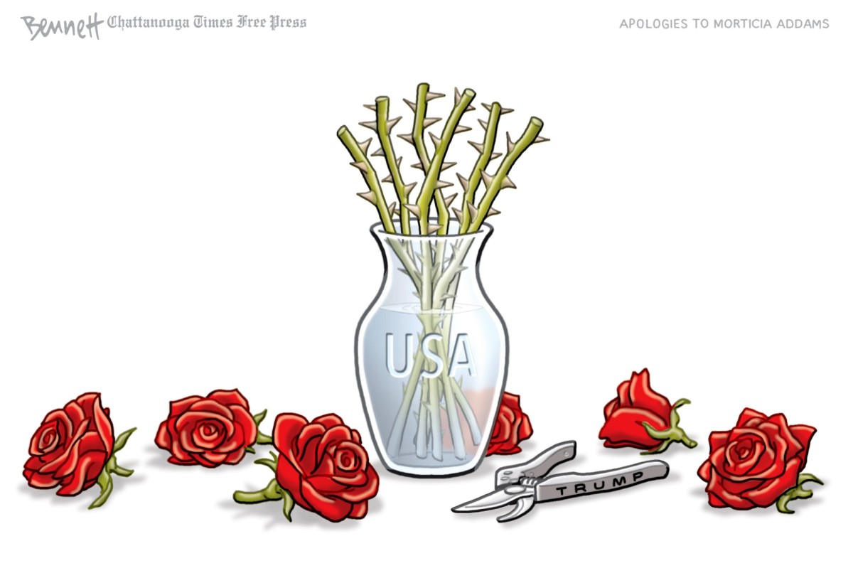 Cartoons: The Latest Editorial Cartoons From CounterPoint Media | Light ...