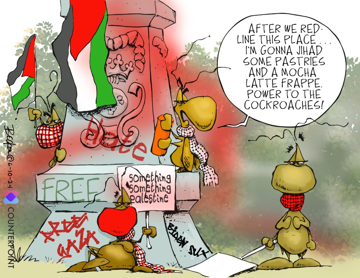 Cartoons: The Latest Editorial Cartoons From CounterPoint Media | Light ...