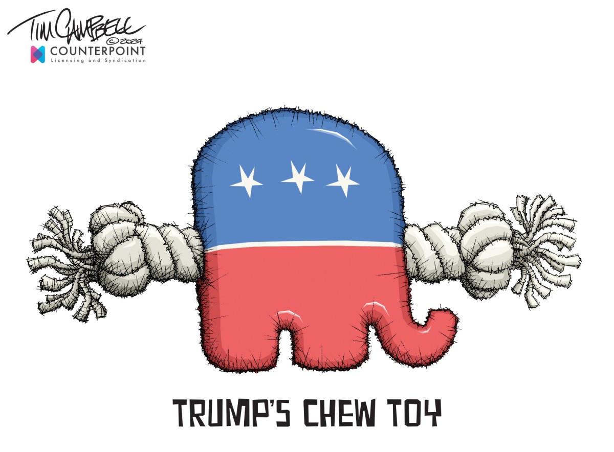 Cartoons: The Latest Editorial Cartoons From CounterPoint Media | Light ...