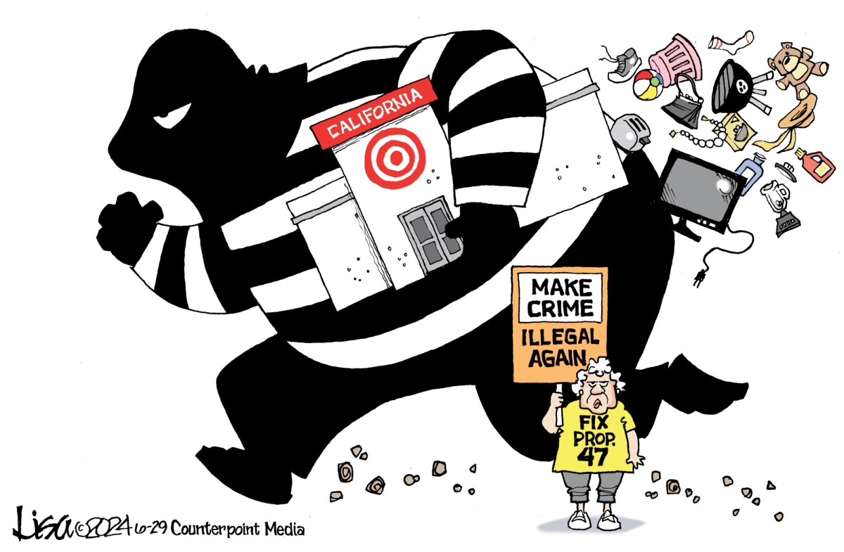 Cartoons: The Latest Editorial Cartoons From CounterPoint Media | Light ...