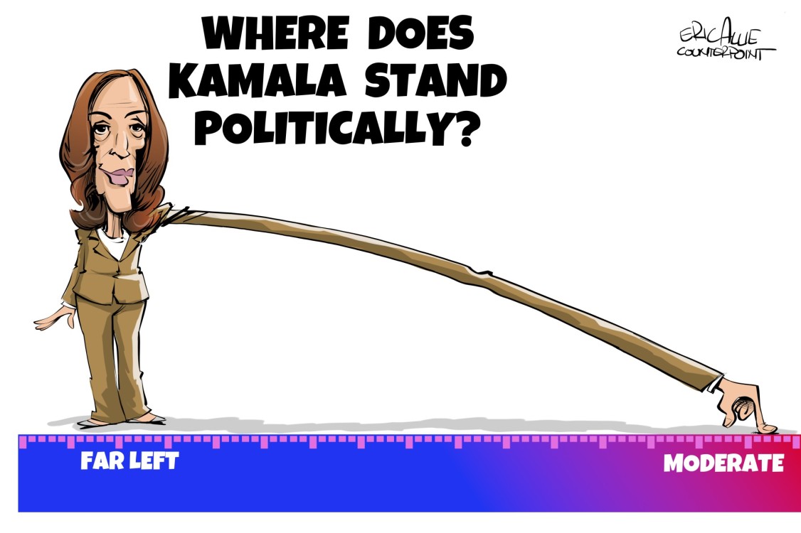 Cartoons: The Latest Editorial Cartoons From CounterPoint Media | Light ...