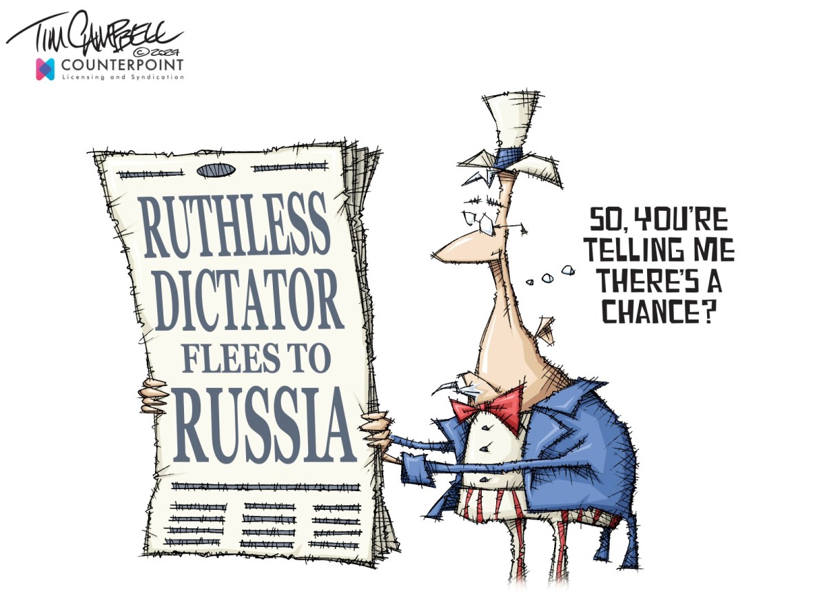 Cartoons: The Latest Editorial Cartoons From CounterPoint Media | Light ...