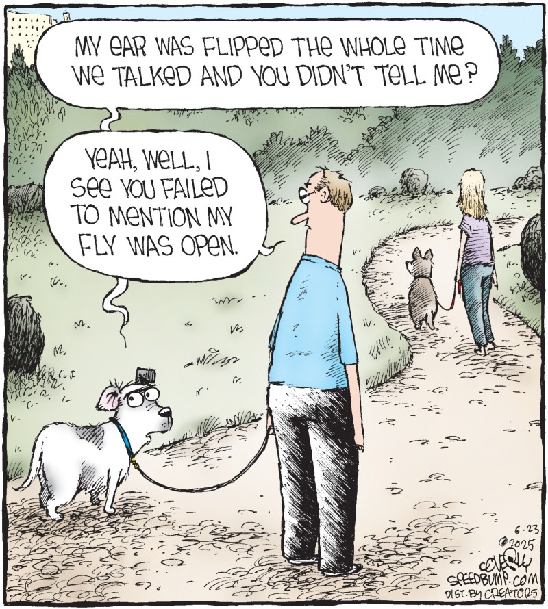 Daily Cartoons: "Speed Bump" by Dave Coverly | Light Wave