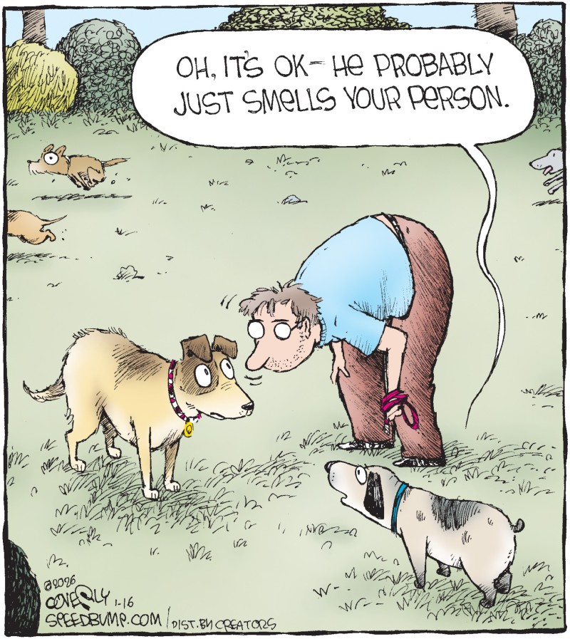 Daily Comics: Speed Bump by Dave Coverly | Light Wave
