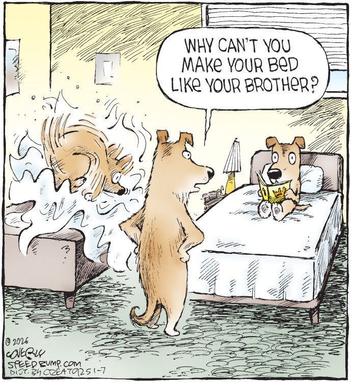 Daily Comics: Speed Bump by Dave Coverly | Light Wave