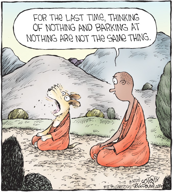 Daily Comics: "Speed Bump" by Dave Coverly | Light Wave