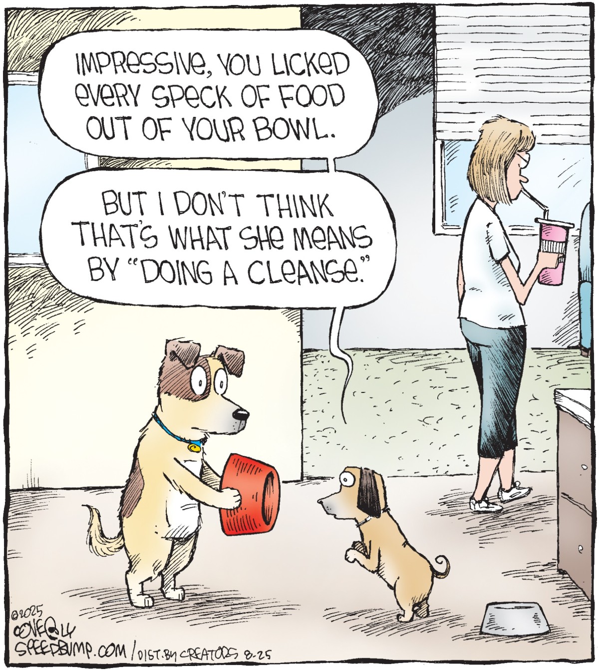 Speed Bump by Dave Coverly | Light Wave