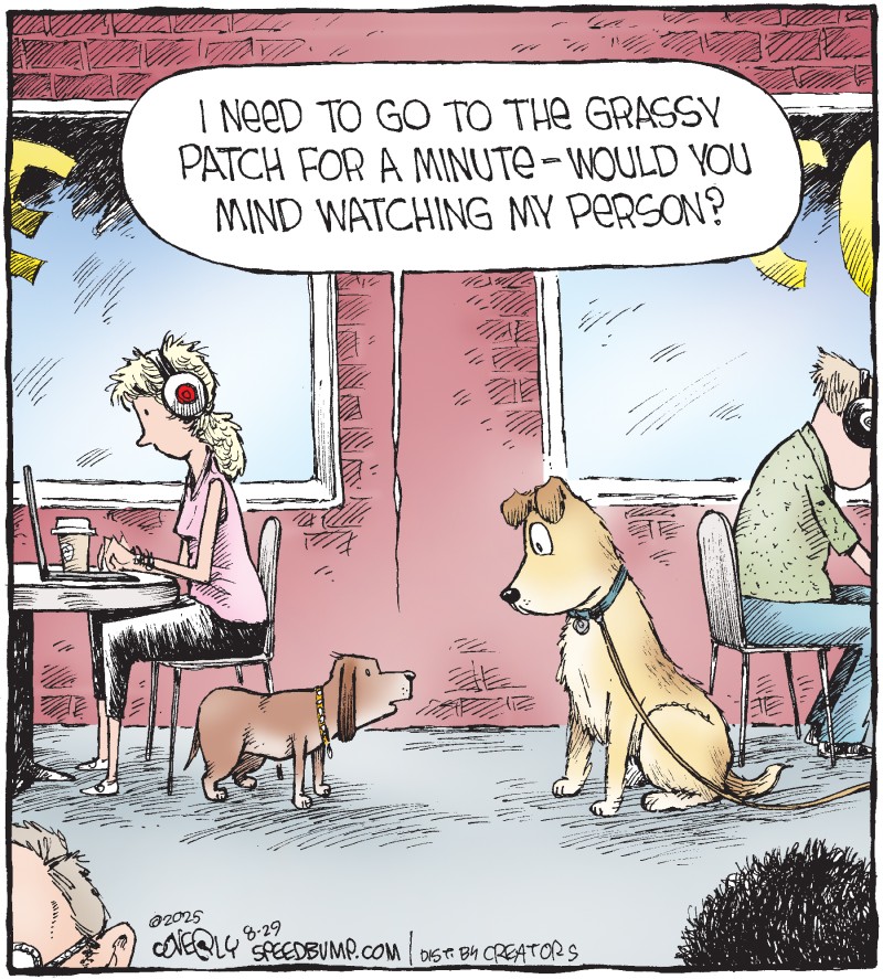 Speed Bump by Dave Coverly | Light Wave