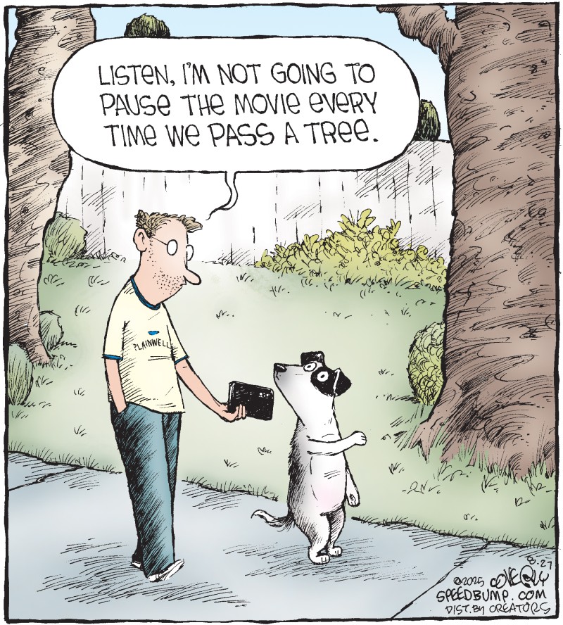 Speed Bump by Dave Coverly | Light Wave