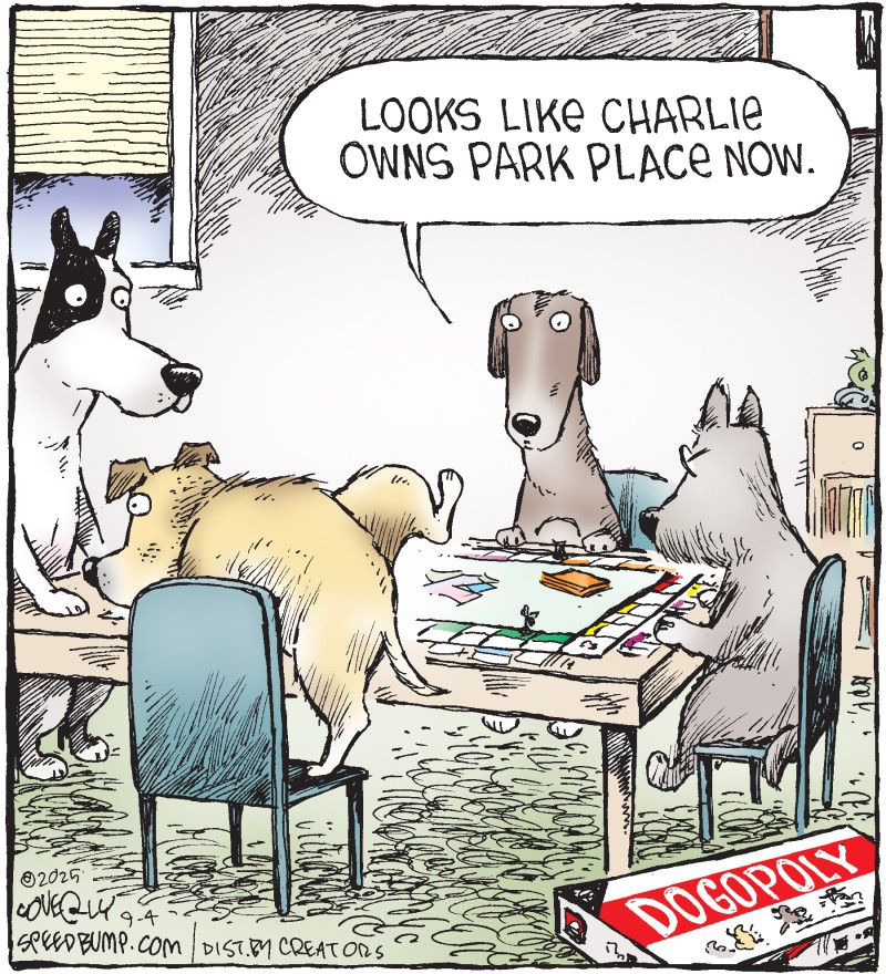 Speed Bump by Dave Coverly | Light Wave