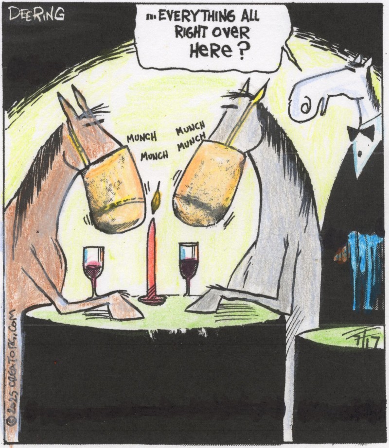 Daily Comics: "Strange Brew" by John Deering | Light Wave