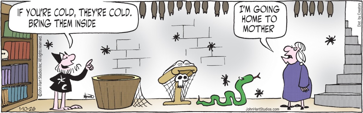 Daily Comics: Wizard of Id by Brant Parker and Johnny Hart | Light Wave