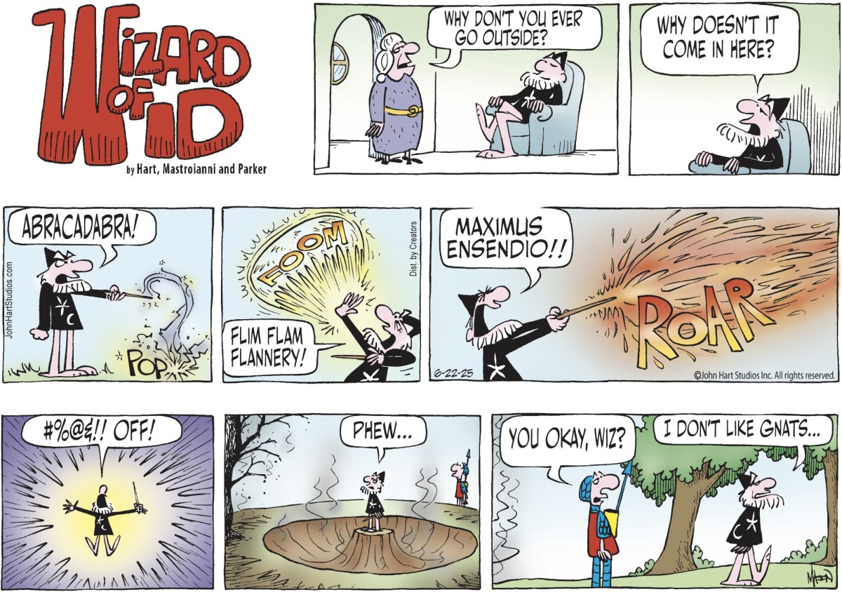 Daily Comics: "Wizard of Id" by Mastroianni & Hart | Light Wave