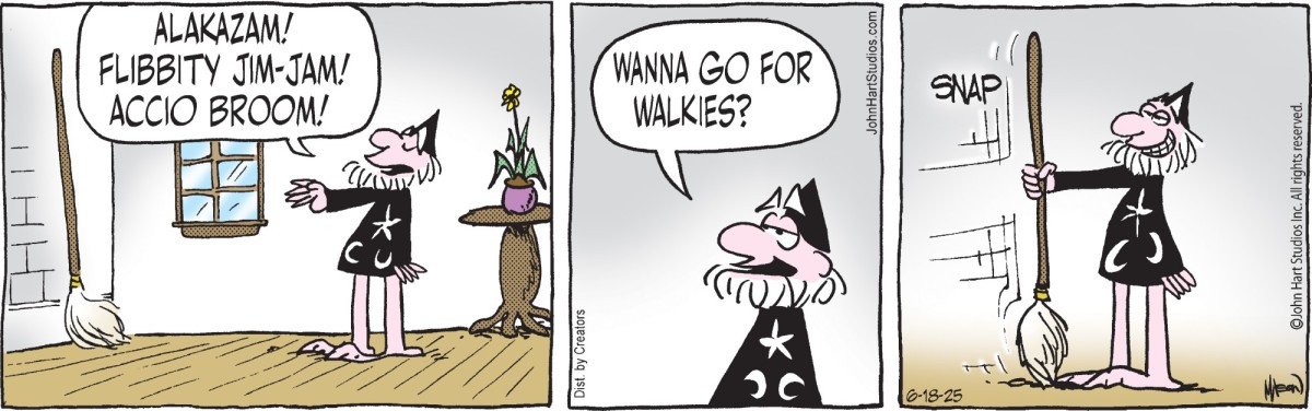 Daily Comics: "Wizard of Id" by Mastroianni & Hart | Light Wave
