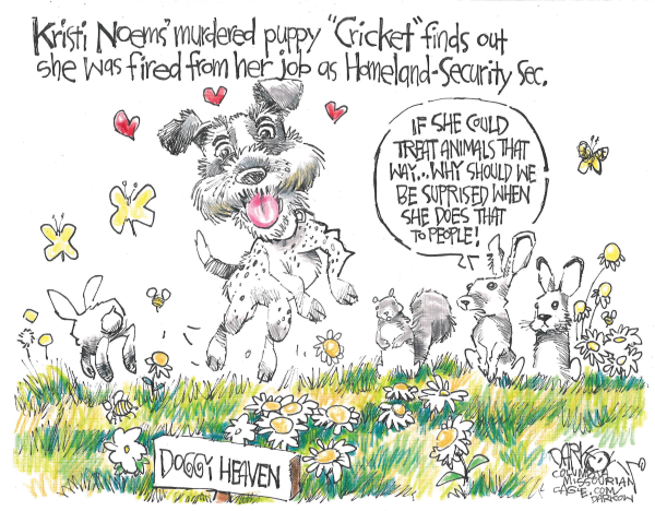 Editorial: Political Cartoons From John Darkow | Light Wave