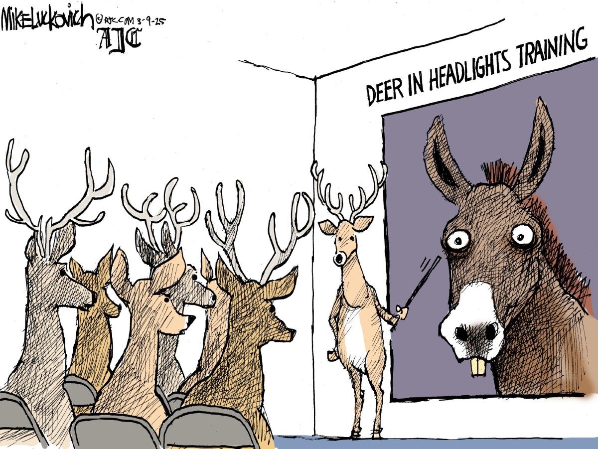 Editorial: The Latest Political Cartoons From The Creators Syndicate ...