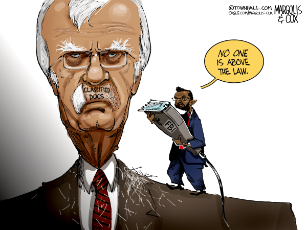 Editorial: Today's Best Political Cartoons | Light Wave