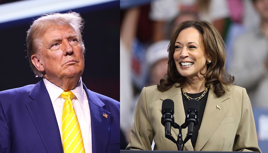 Election 2024: Harris Surges Ahead of Trump in Recent Polls | Light Wave Election 2024: Harris Surges Ahead of Trump in Recent Polls | Light Wave
