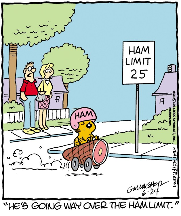 Evening Comics: "Heathcliff" by Peter Gallagher | Light Wave