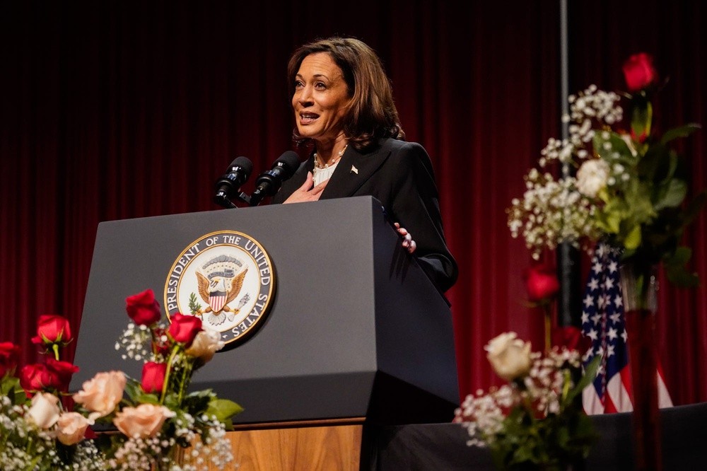 From Coconuts to 'Brat': Decoding Kamala Harris's Meme-Driven Campaign Strategy | Light Wave