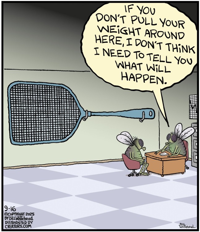 LightWave Reports' Daily Comic Strips (9/16) | Light Wave