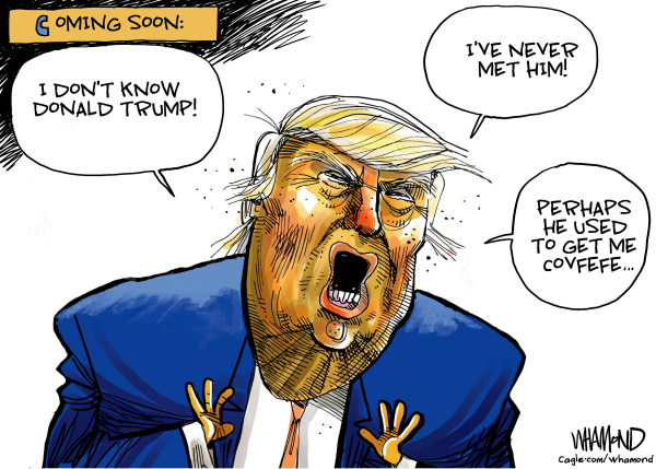 Political Cartoons From Dave Whamond | Light Wave