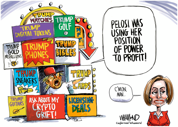 Political Cartoons From Dave Whamond | Light Wave