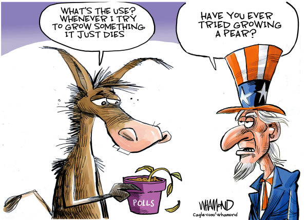 Political Cartoons From Dave Whamond | Light Wave