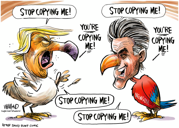 Political Cartoons From Dave Whamond | Light Wave