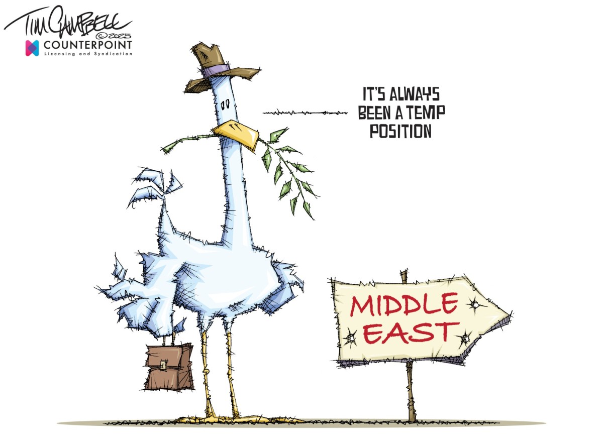 Political Cartoons: The Best Cartoons From Both Sides | Light Wave