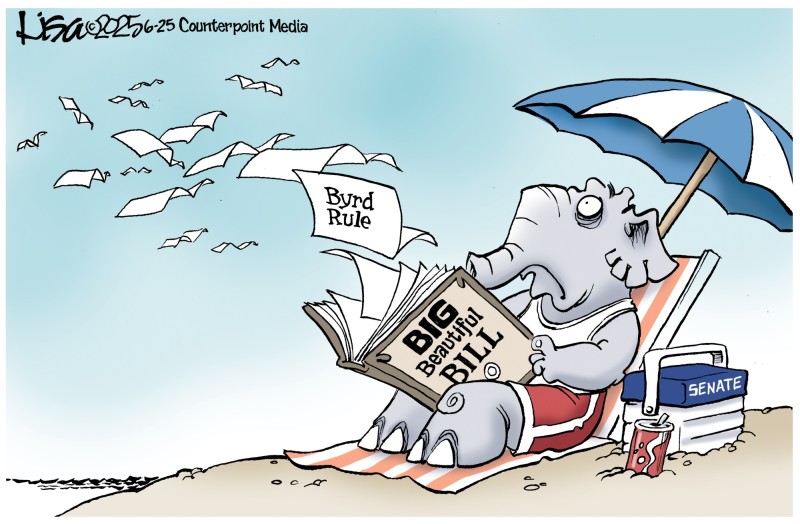 Political Cartoons: The Best Cartoons From Both Sides | Light Wave