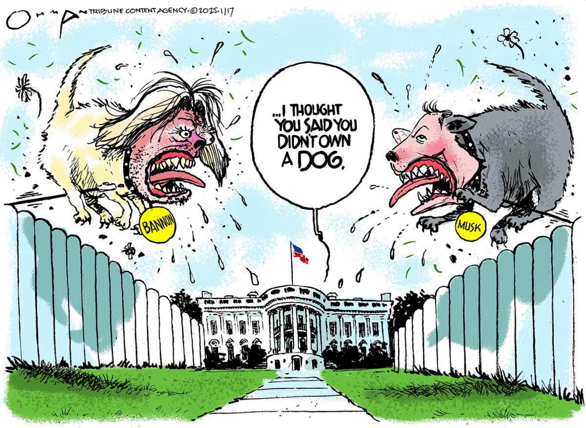 Political Cartoons: The Latest Editorial Cartoons From The TCA | Light Wave