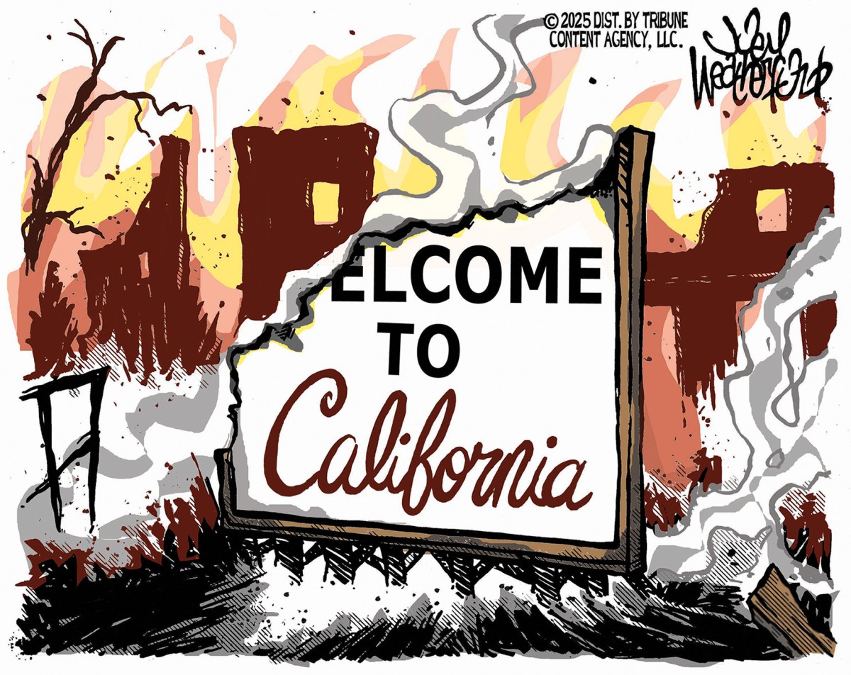 Political Cartoons: The Latest Editorial Cartoons From The TCA | Light Wave