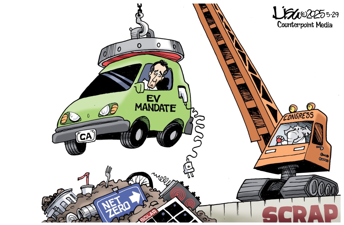 Political Cartoons: The Latest From Lisa Benson | Light Wave
