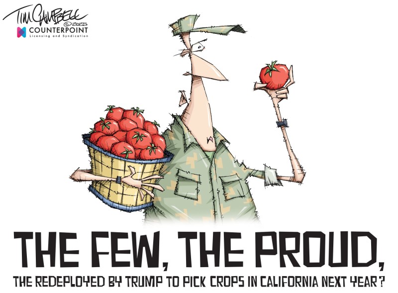 Political Cartoons: The Latest From Tim Campbell | Light Wave