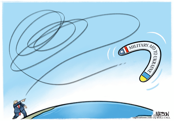 Opinion: R.J. Matson's Political Cartoons | Light Wave