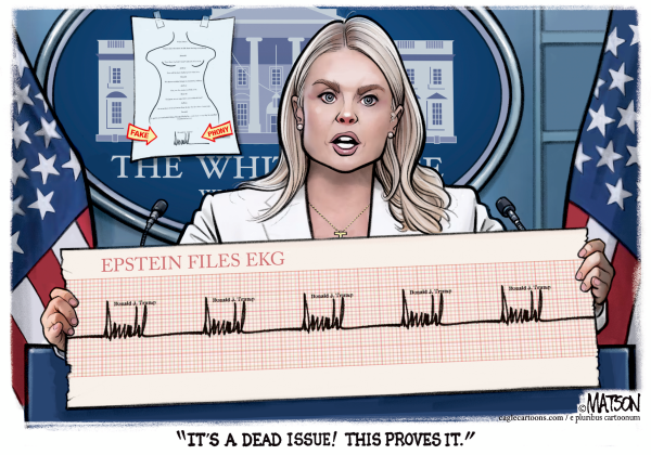R.J. Matson's Political Cartoons | Light Wave