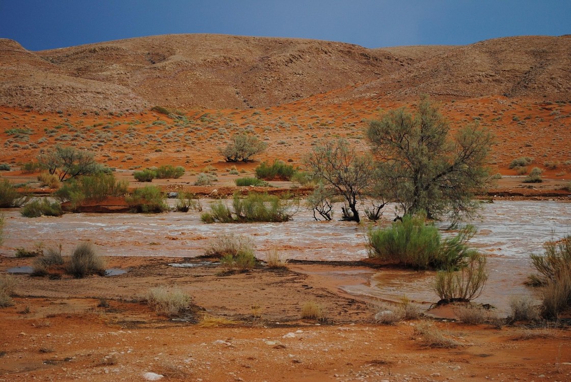 Silence from DC and EU as floods devastate Libya’s helpless poor ...