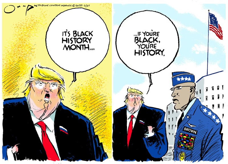 The Best Political Cartoons From Jack Ohman | Light Wave