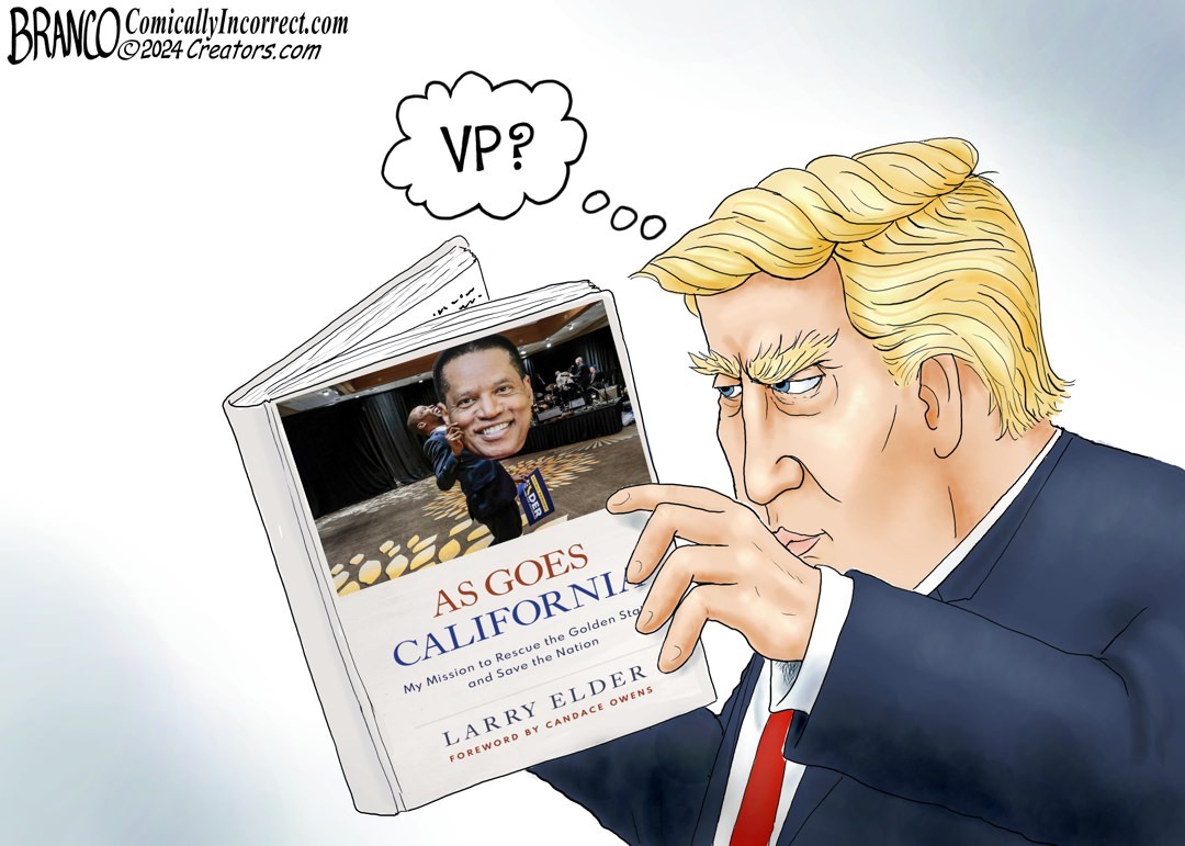 The Day's Best Political Cartoons for February 25, 2024 | Light Wave