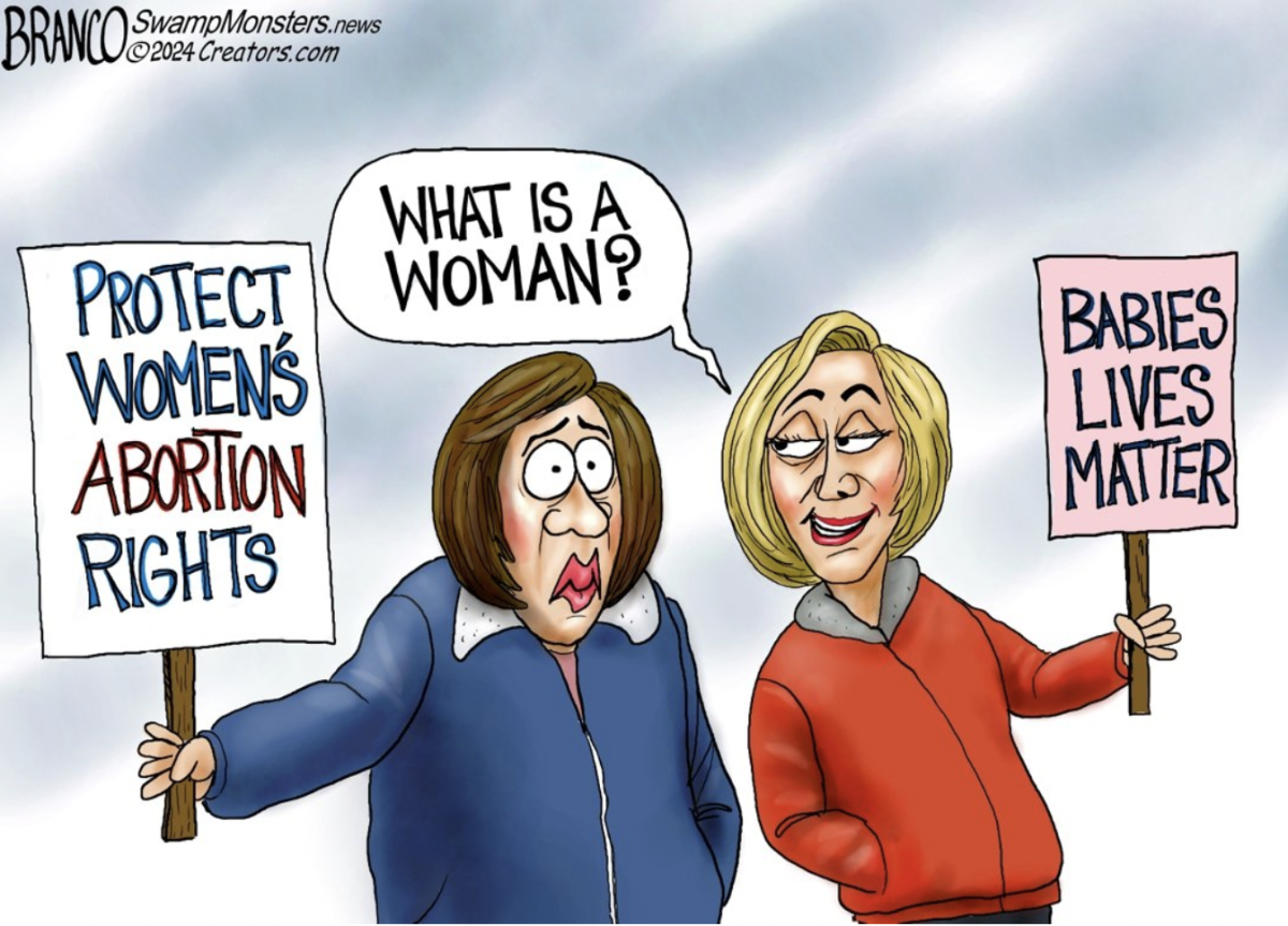 The Day's Best Political Cartoons for January 30, 2024 | Light Wave