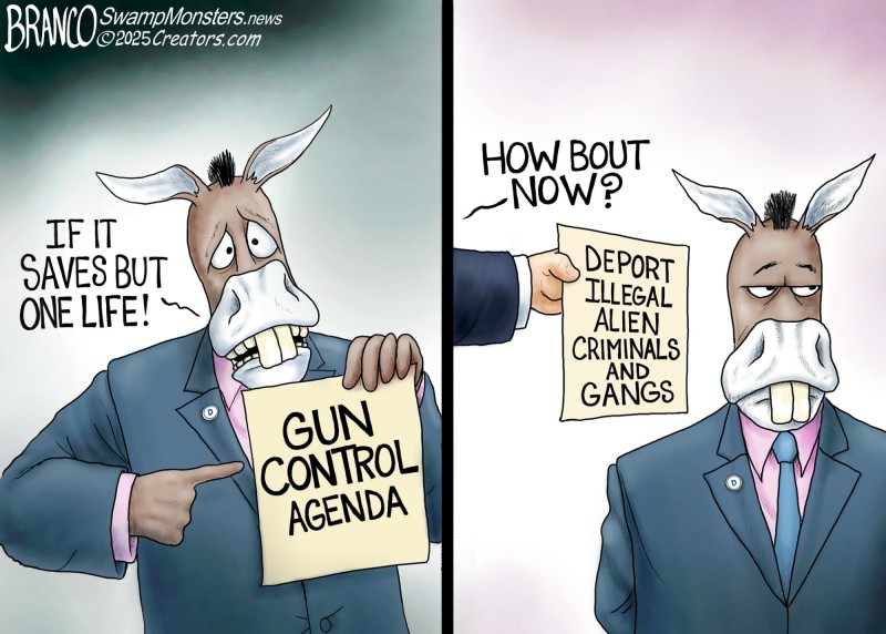 New Conservative Cartoons by A.F. Branco | Light Wave