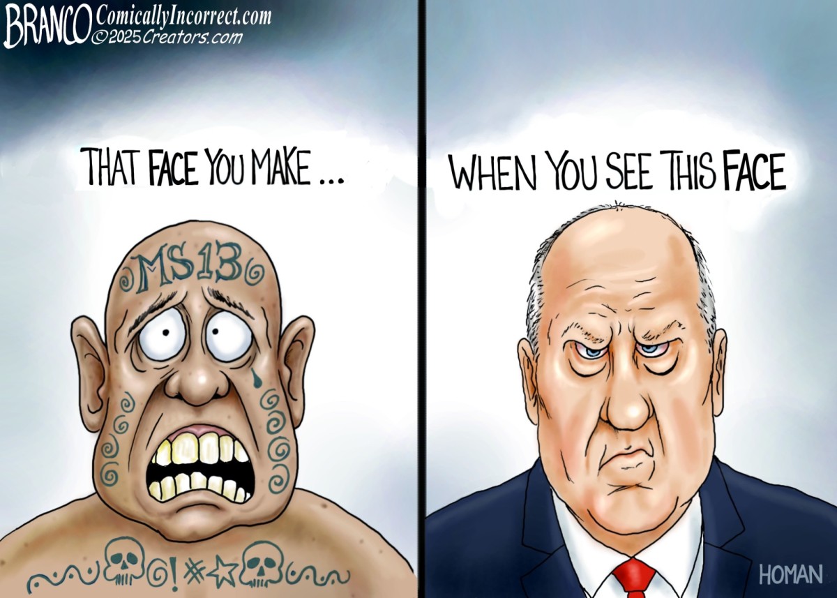 The Latest Editorial Cartoons From The Creators Syndicate | Light Wave